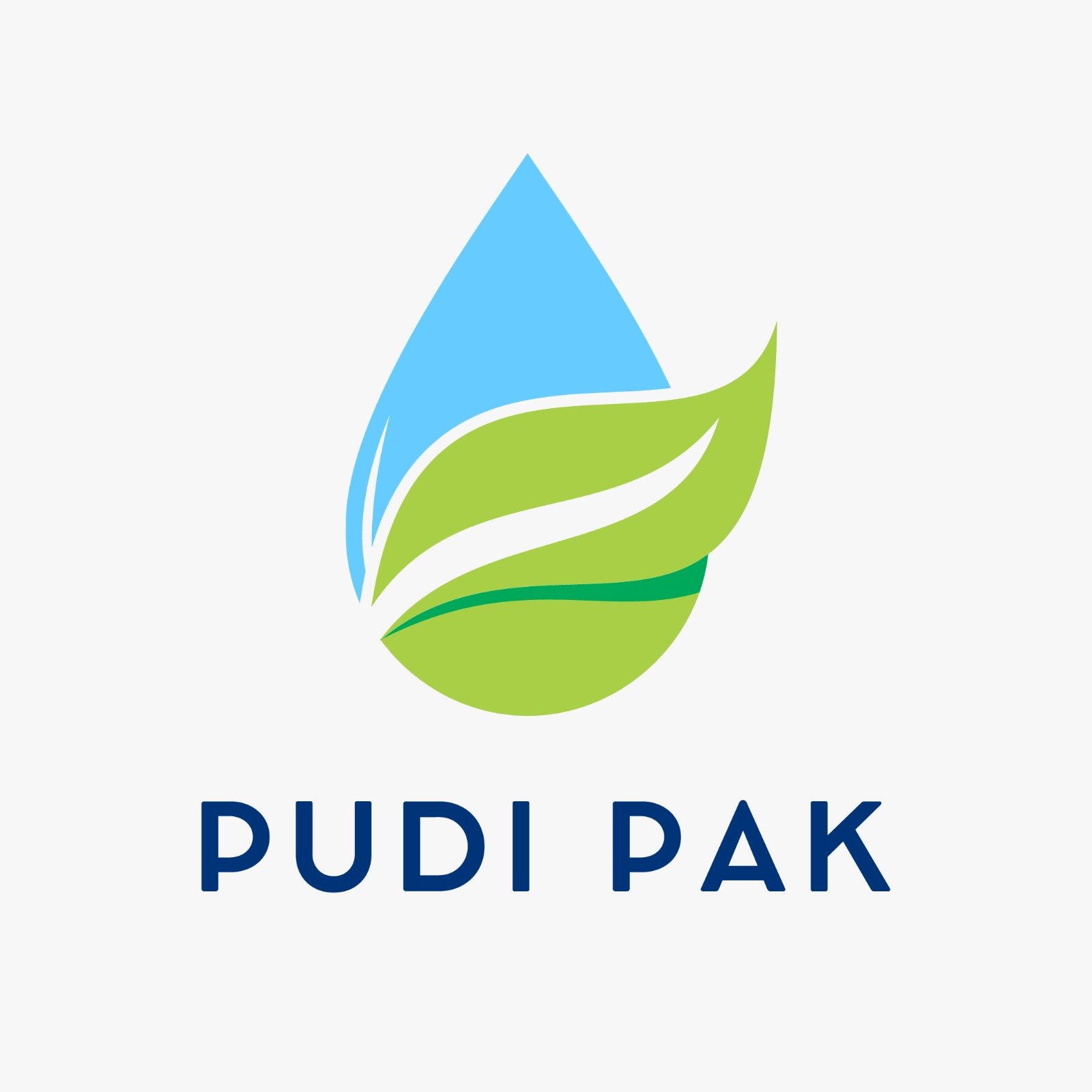 Pudi Pak No 1 Premium Adsorbents & Desiccants – Preserving Quality ...